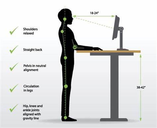 Set Up for Different Types of Workstation - Bradley Physio